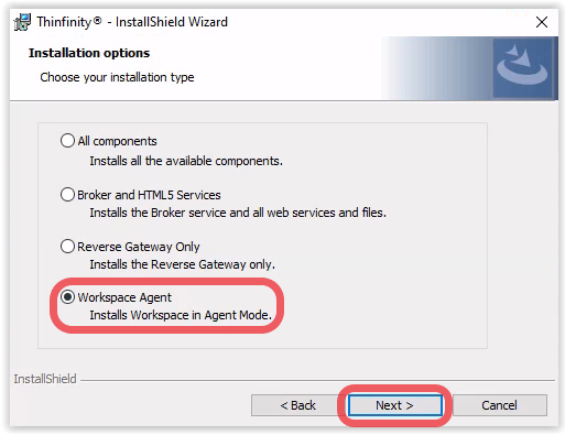 Install and Configure Thinfinity Workspace in Agent Mode: A Secure RDP ...